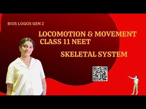 Locomotion & movement- Class 11 Skeletal System NEET CBSE Biology - YouTube