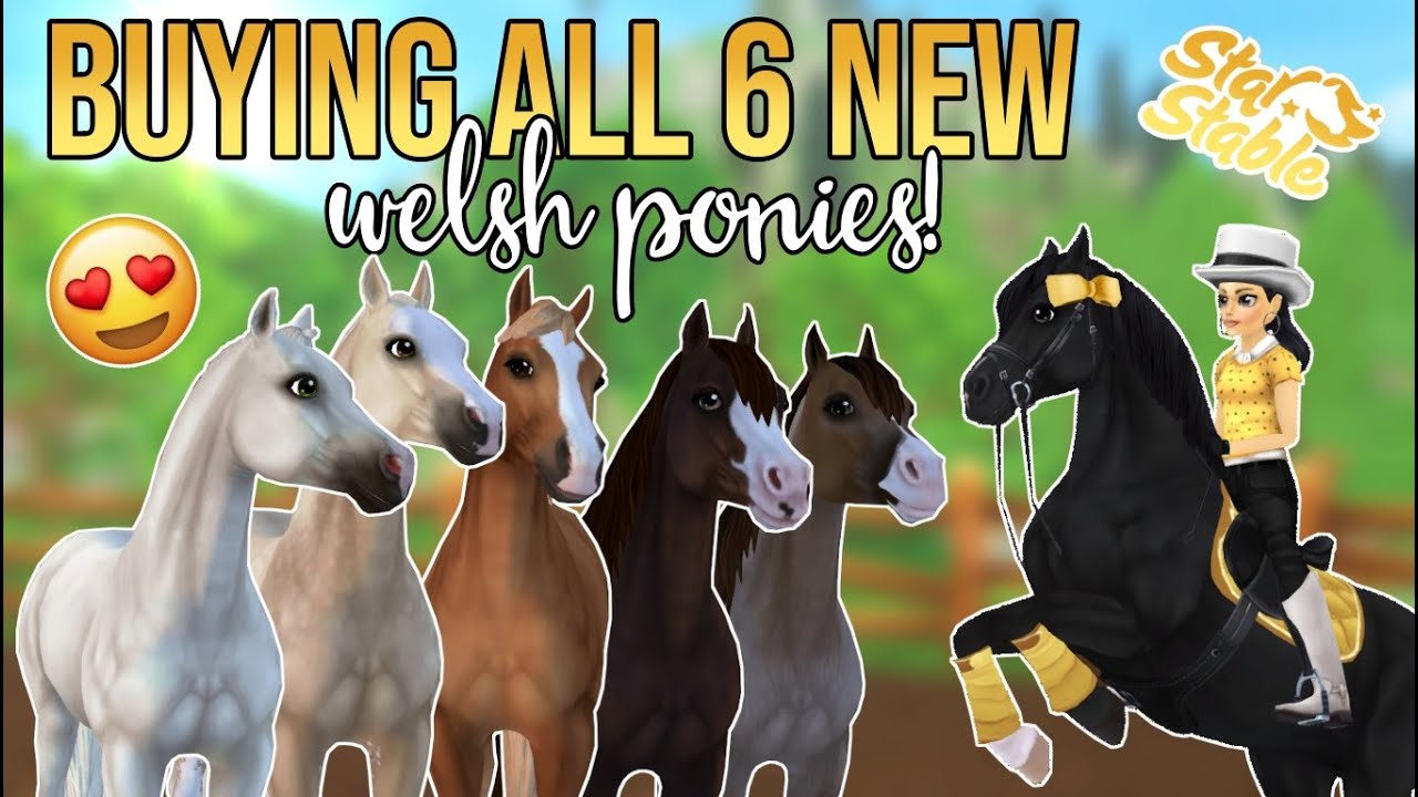 Buying ALL 6 new Welsh Ponies! | Star Stable Online - YouTube