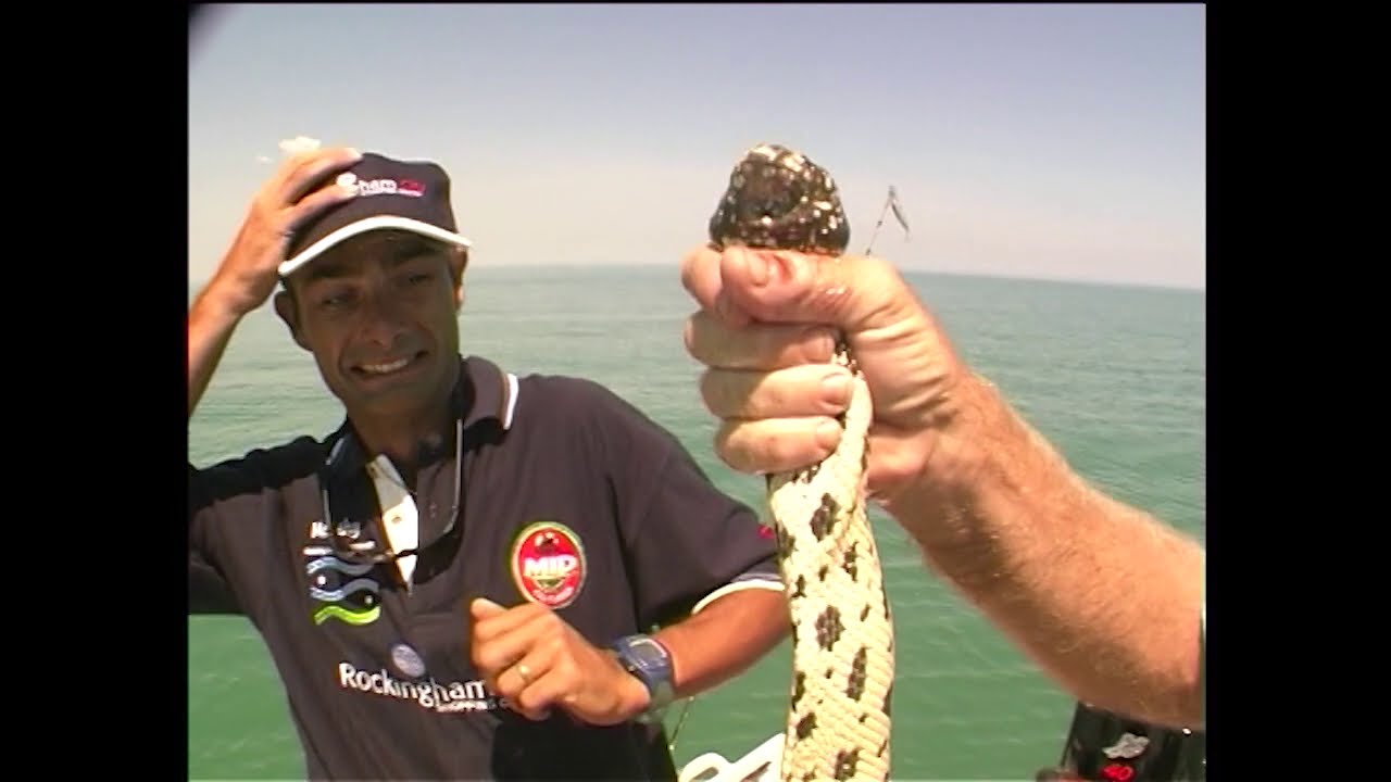 Deadly Sea Snake Broome Fishing Western Australia Series 2 Ep 6 Part 2 ...