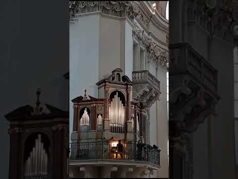 Dilay Girgin - Schafe können sicher weiden