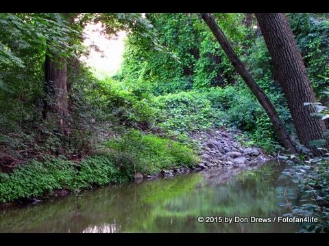 Conestogo River Millrace Trail Twilight, St Jacobs Canada - YouTube
