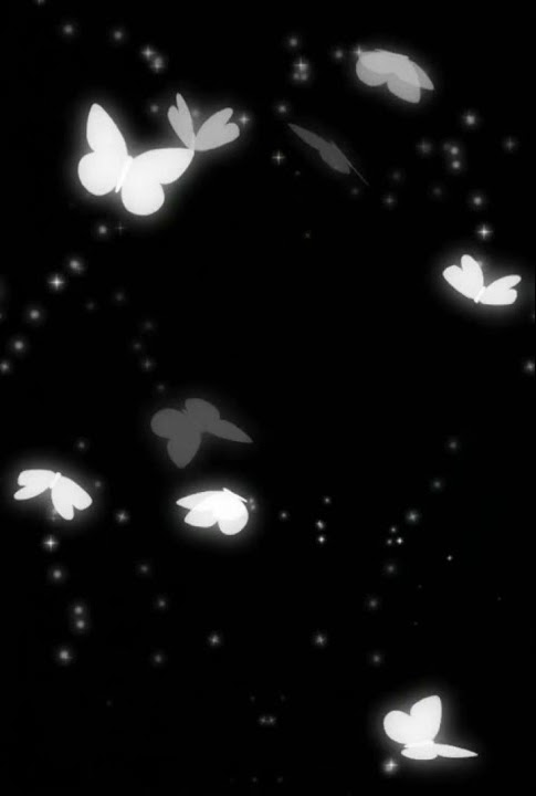 تصميم جاهز للمونتاج Ready For Montage 🤍🦋 Youtube