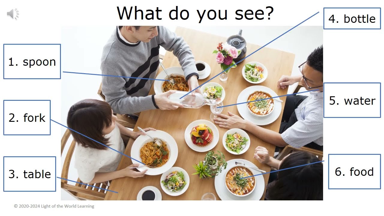 Beginner A1 (USA) Video lessons – Light of the World Learning