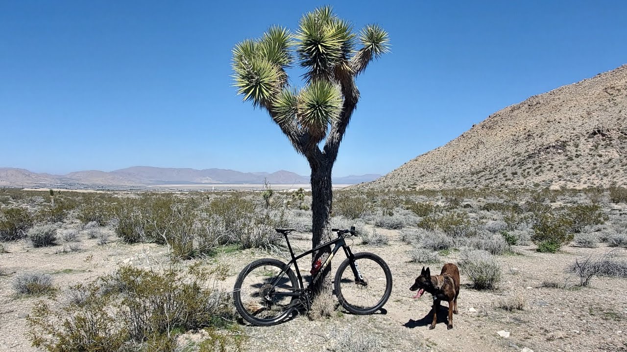 Meridian trails with Riley..🐕 - YouTube