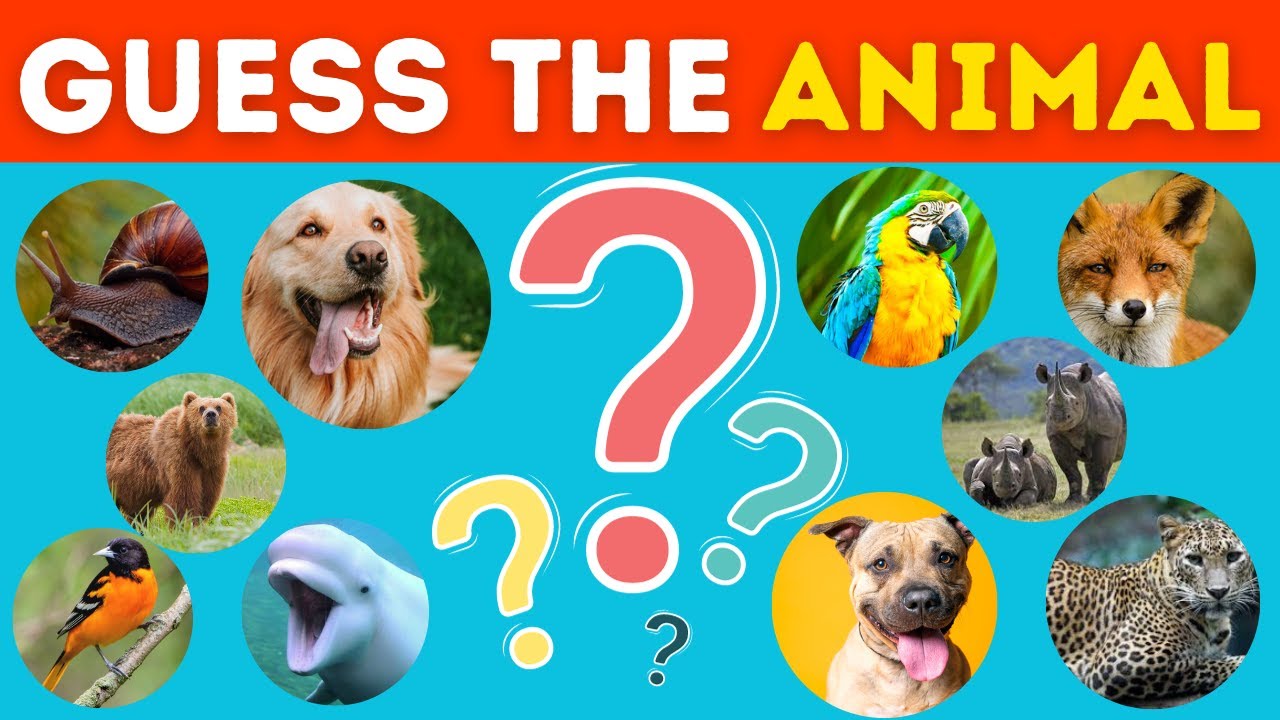 Guess the Animal Quiz: Can You Guess the Creatures by Their Unique ...