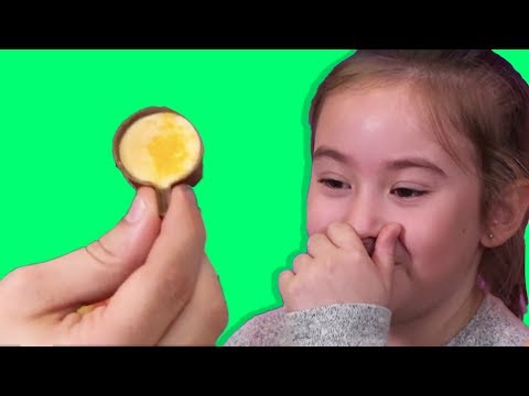 Hiç Tatmadığımız Çikolata Çeşitlerini Tattık