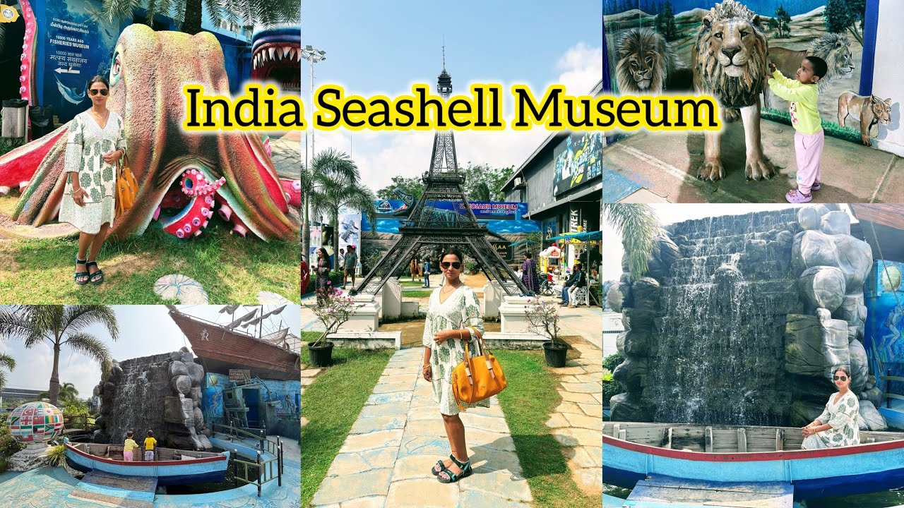India Seashell Museum| Mahabalipuram|Tamil Nadu Diaries|Explore World’s ...