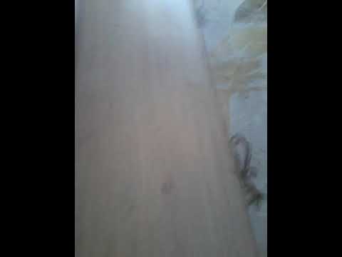 Kışkırtıcı  video