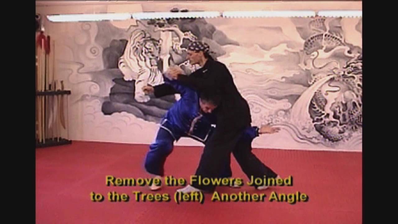 Jiang Rong Qiao's Daughter Baguazhang (Rare Footage) - YouTube