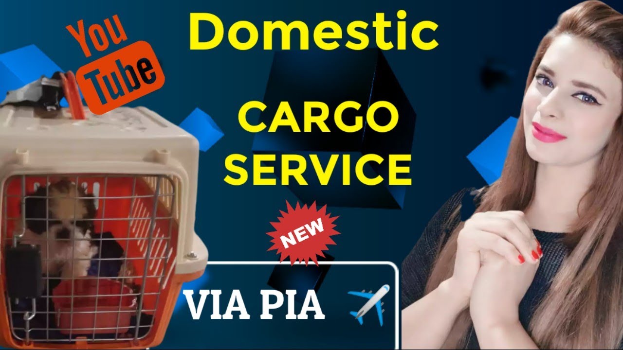 How To Cargo Animal VIA Plane In Winter | PIA Domestic Cargo Service ...