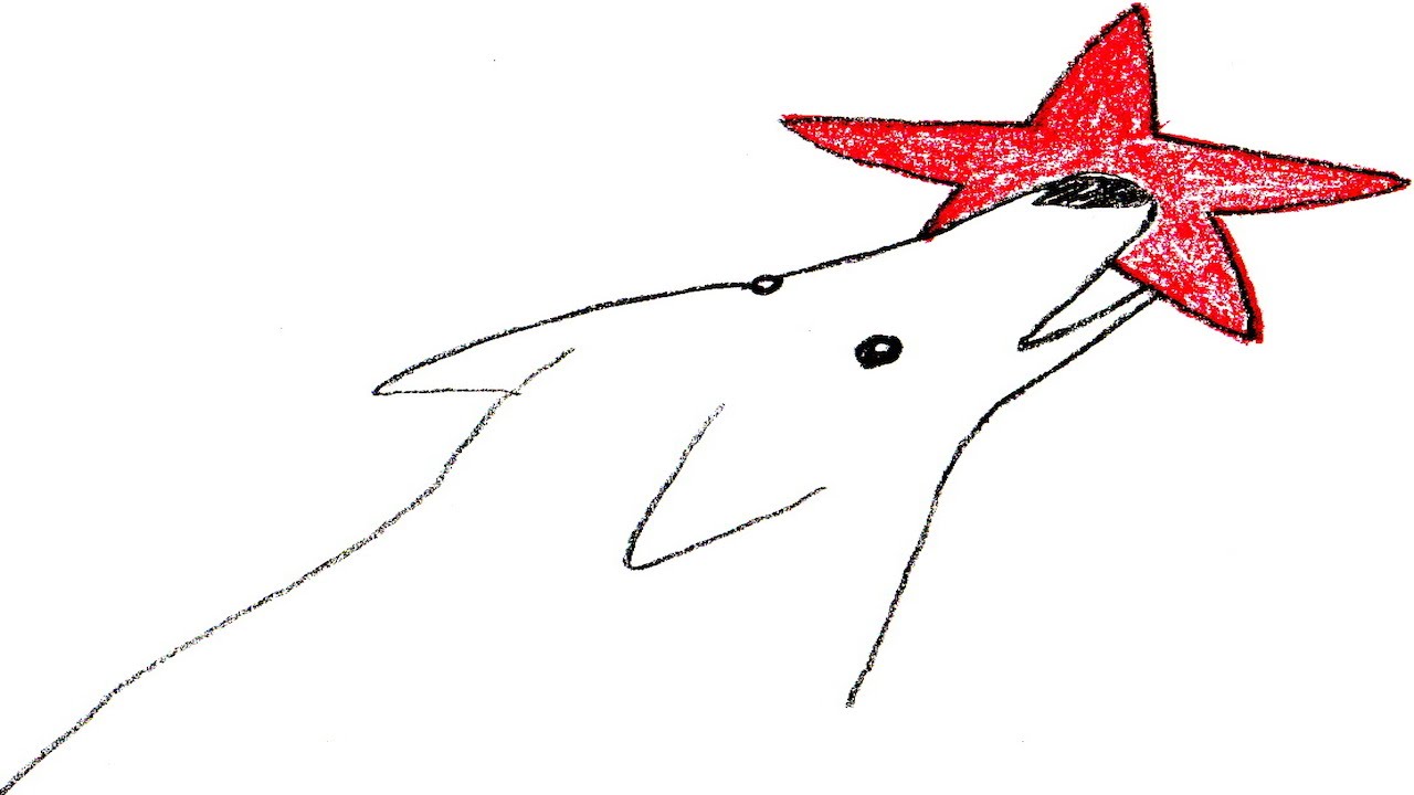 Falling Stars. A dog's tale. Cartoon. - YouTube
