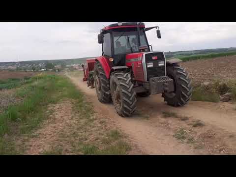 HARS 399S