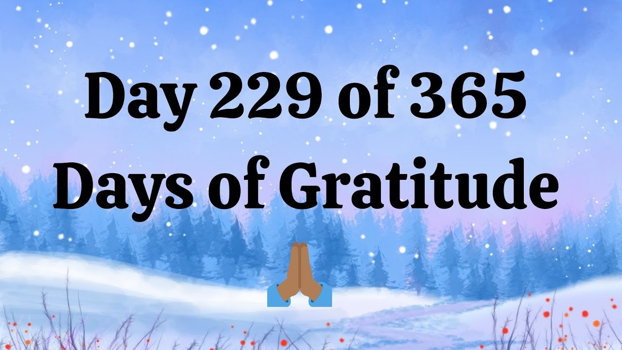 Day 229 of 365 Days of Gratitude-Dec 26 2024: My Day After Christmas ...