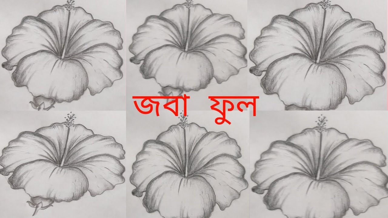 ||জবা ফুল Drawing||🌺🌺🌺 - YouTube