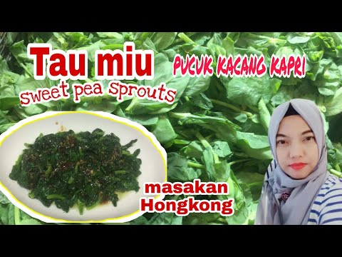Masakan Hongkong Tau miu!! Pucuk kacang kapri!! - YouTube