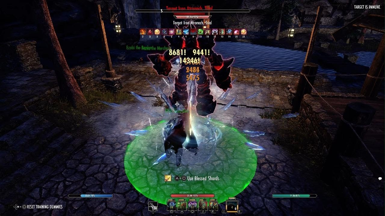 110k Magicka Warden (Magden) - double ice staff - nirn/rele/zaan - no ...