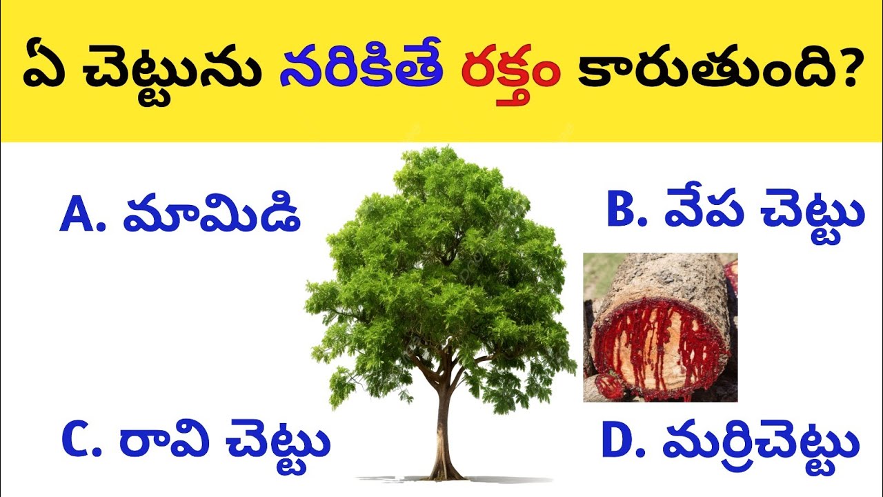 GK Questions || GK in Telugu || GK Questions and Answers Episode-94 ...