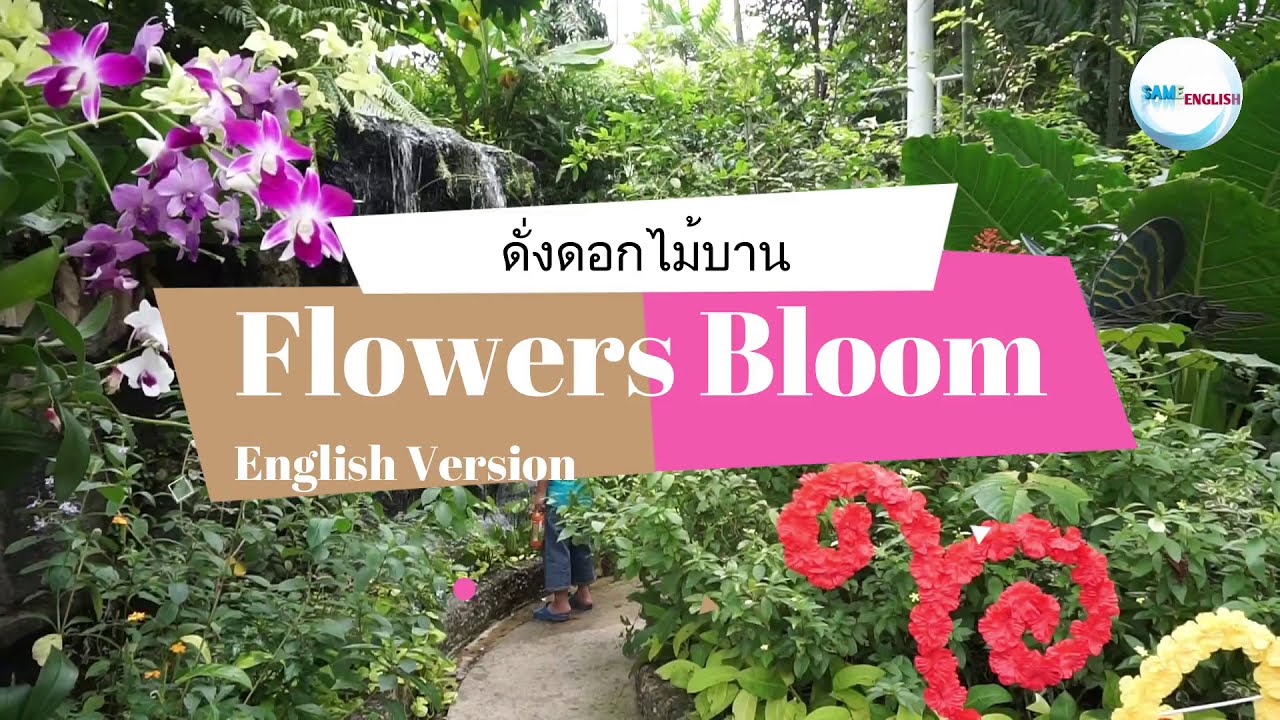 Flowers Bloomดั่งดอกไม้บาน [Thai/Eng Lyrics] Thai Meditation Music ...
