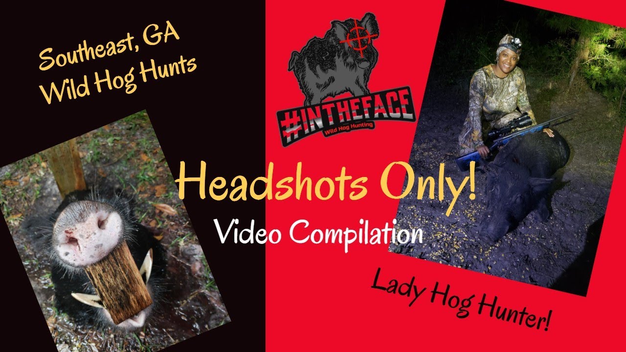 3 Hunts! 3 Headshots! 3 Hogs Down! | Lady Hog Hunter 🐗 #hog #hunting # ...