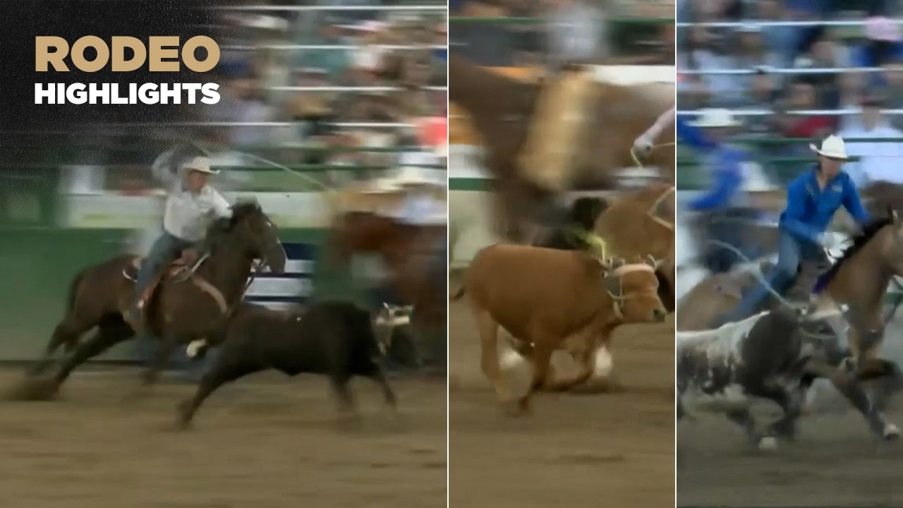 Team Roping That Is Ridiculously Satisfying! - YouTube