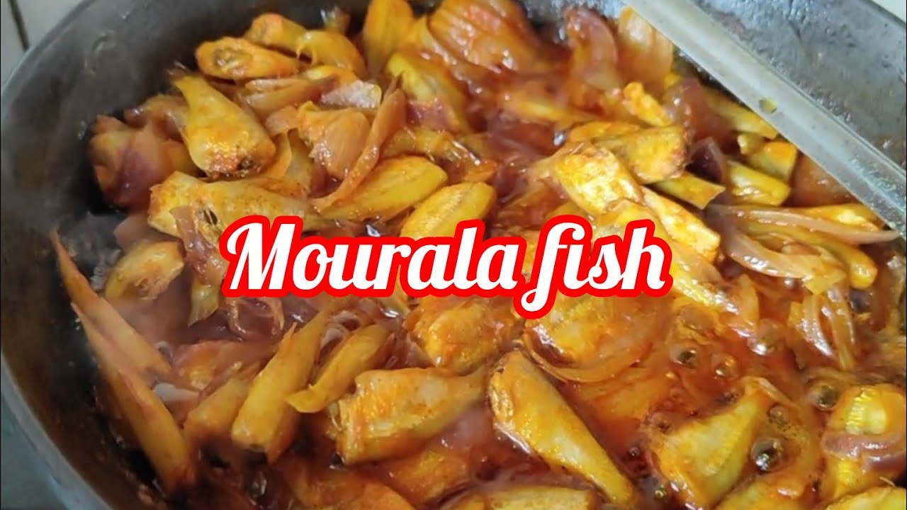 Quick and easy mourola fish recipe।।😋 - YouTube