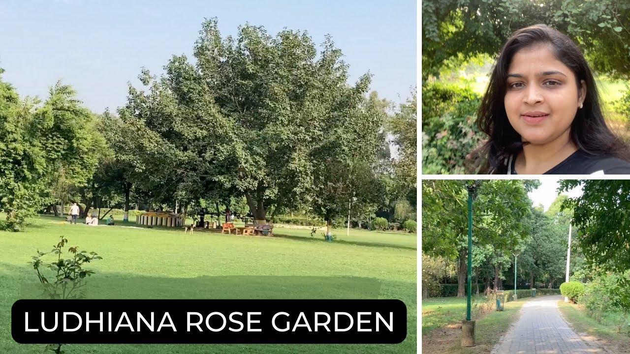 Morning Walk at Rose Garden Ludhiana | Overview of Nehru Rose Garden at ...