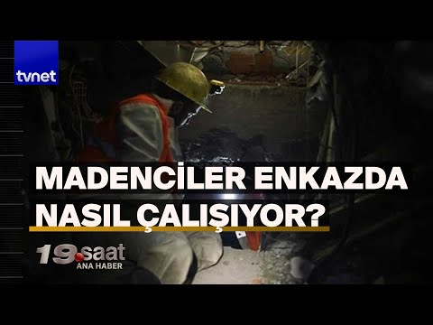 Madenciler bu yöntemle hayat kurtarıyor! İşte domuz damı ...