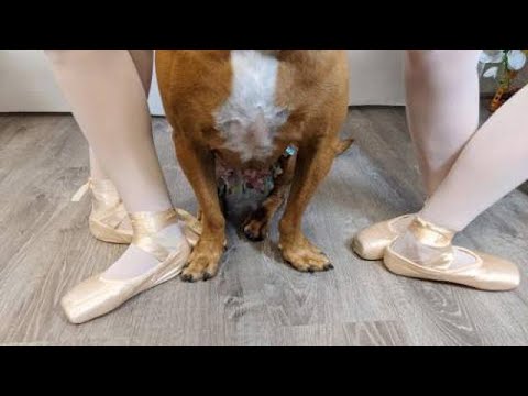 The Big Ballet Lesson - YouTube
