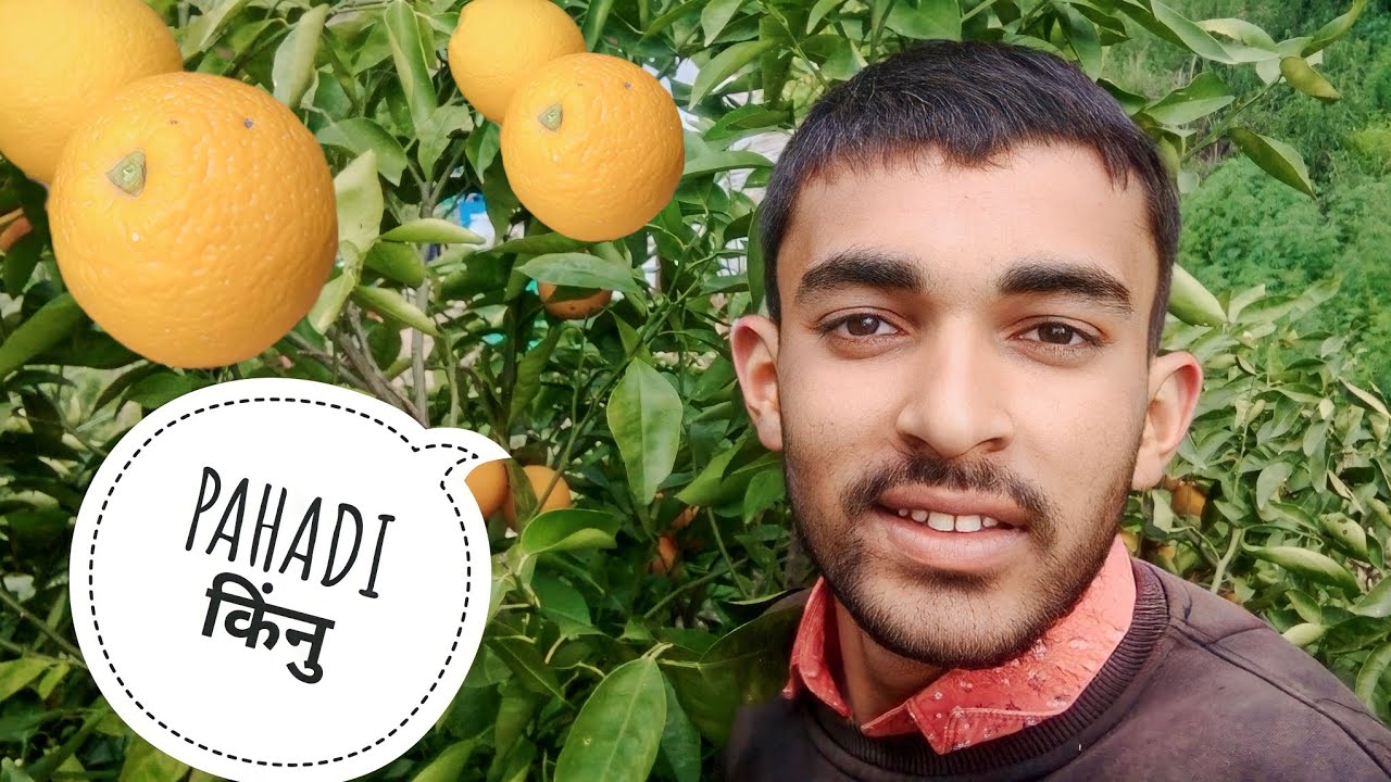 PAHADI FAMOUS कींनु 🥰 | pahadi lifestyle vlog - YouTube