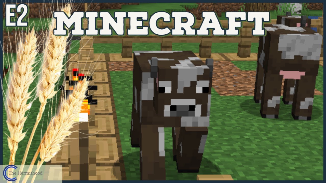 Minecraft Vanilla Amplified E2 - Cows & Wheat - YouTube