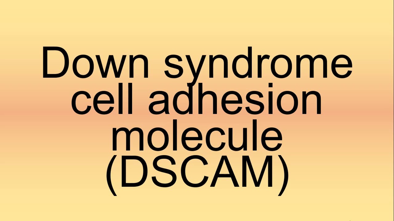 Down Syndrome Cell Adhesion Molecule (DSCAM) Pronunciation | How to Say ...