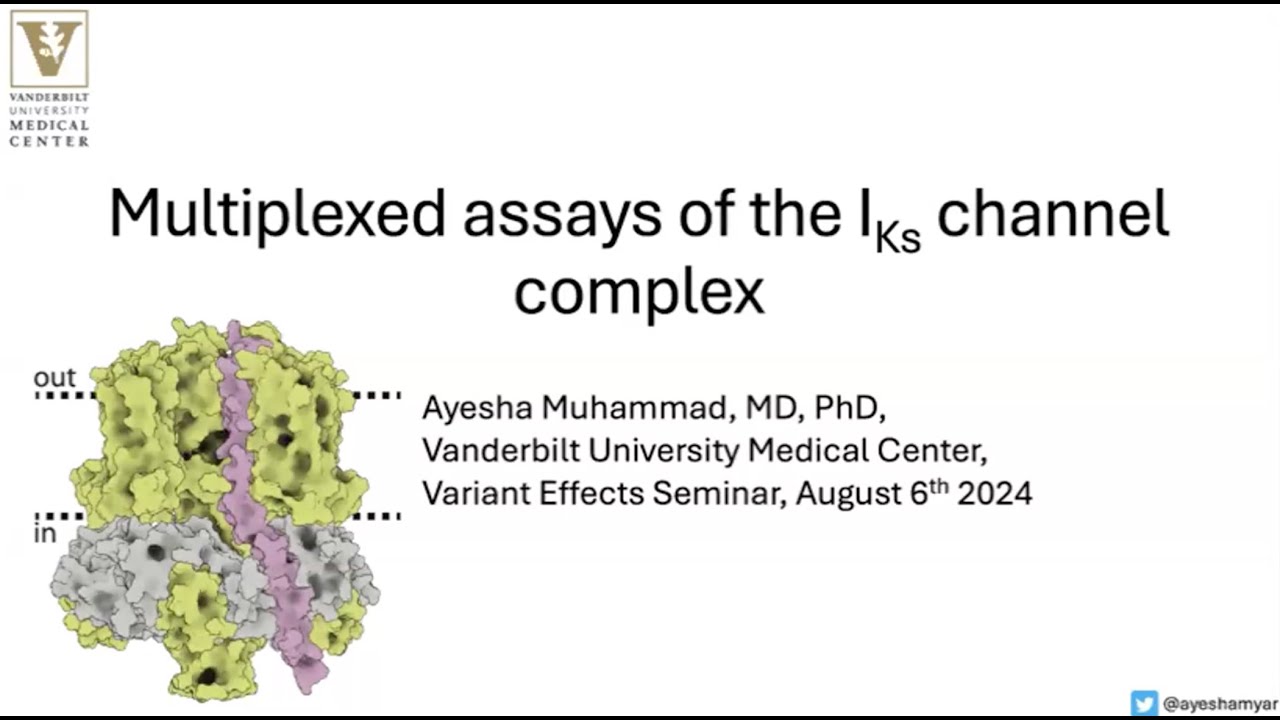 "Multiplexed assays of the IKs channel complex" - Ayesha Muhammad - YouTube