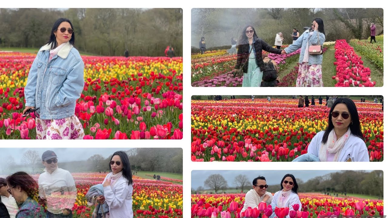 BEAUTIFUL PLACE/ TULIPS 🌷GARDEN 🌷/ TULLYES TULIPS FARM / CRAWLEY LONDON ...