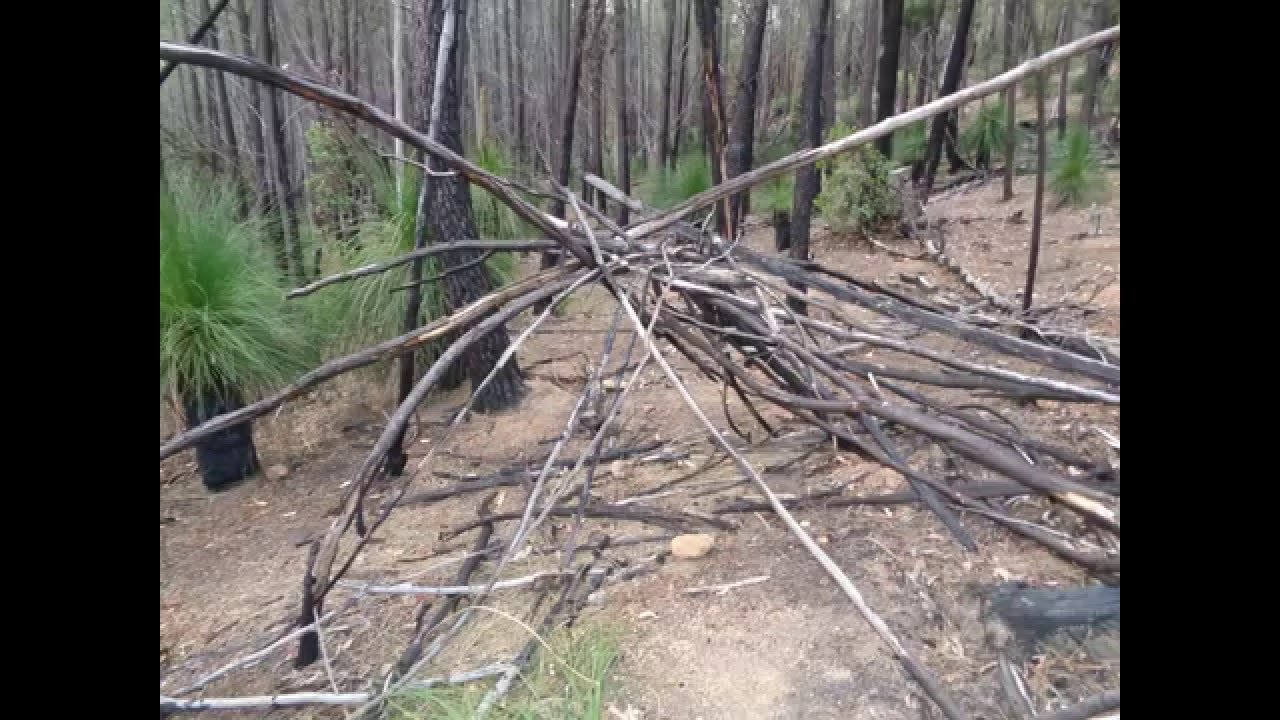 Bigfoot Structure 3 Western Australia - YouTube