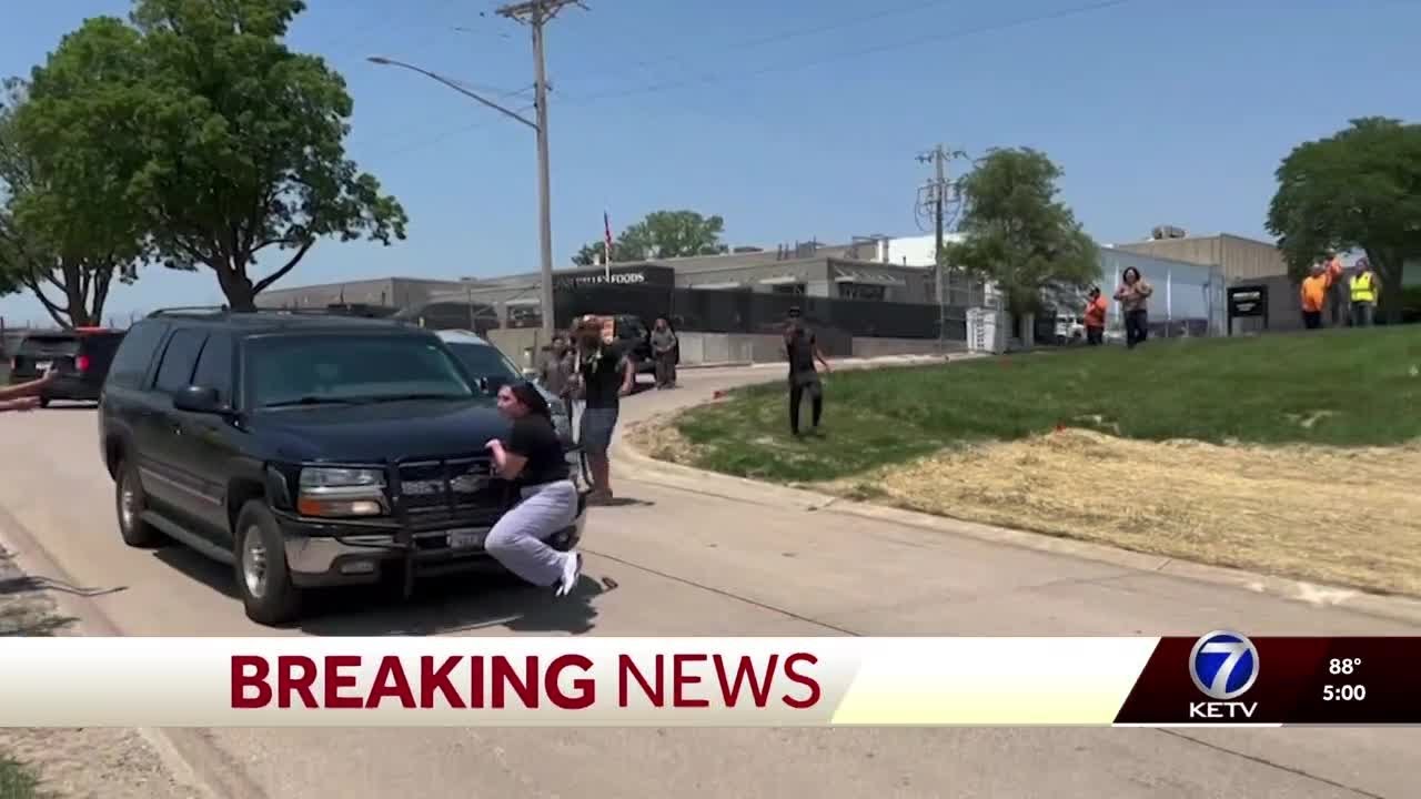 Video shows protester jumping on law enforcement vehicle at immigration ...