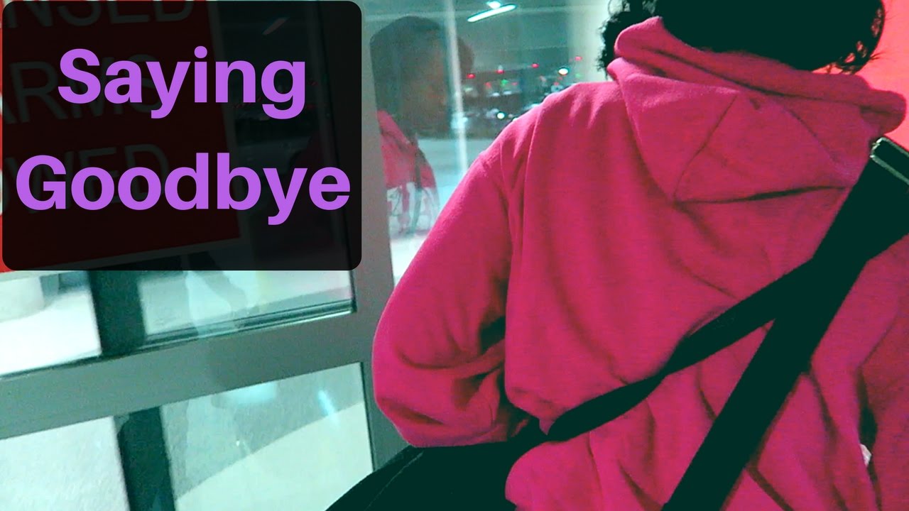 Saying Goodbye | Wednesday April 12, 2017 | Daily-ish Vlog - YouTube