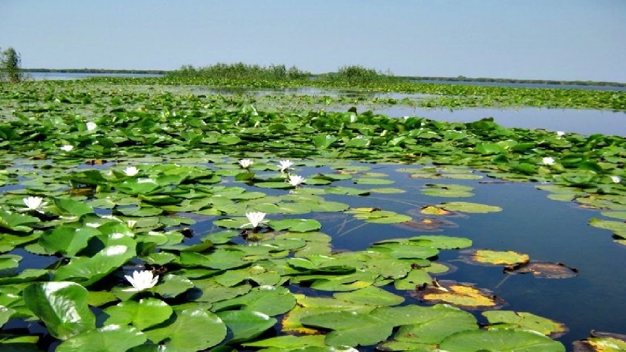 Delta Dunării - România - YouTube