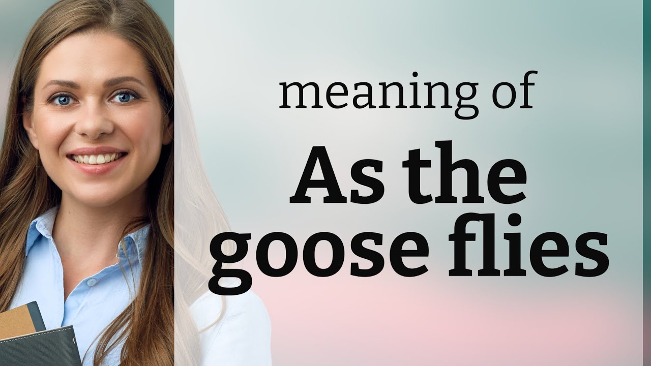 As the Goose Flies: Unraveling Idiomatic Expressions - YouTube