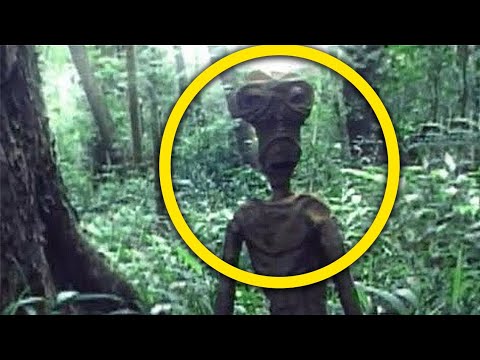8 Creaturi CIUDATE Care Au SOCAT Omenirea - YouTube