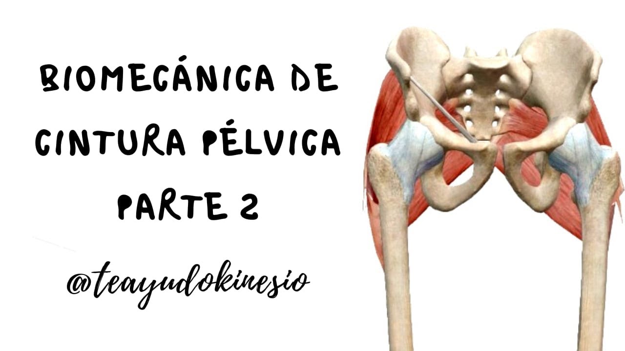 Biomecánica de nutación y contranutación parte 2: Planimetría ...