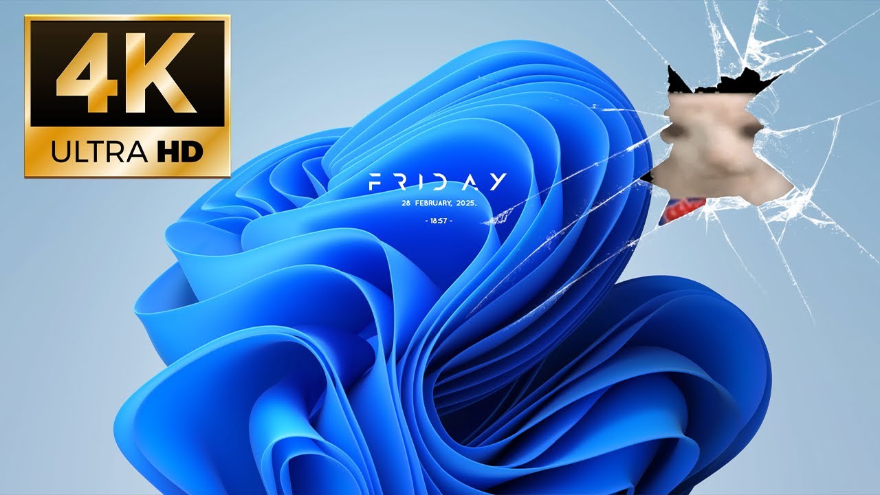 Cat Eating Chips Through Windows 11 Live Wallpaper 4K - YouTube