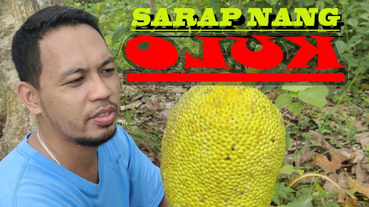 BREADFRUIT I NILATIKANG KULO I SNACKS SA PROBINSYA - YouTube