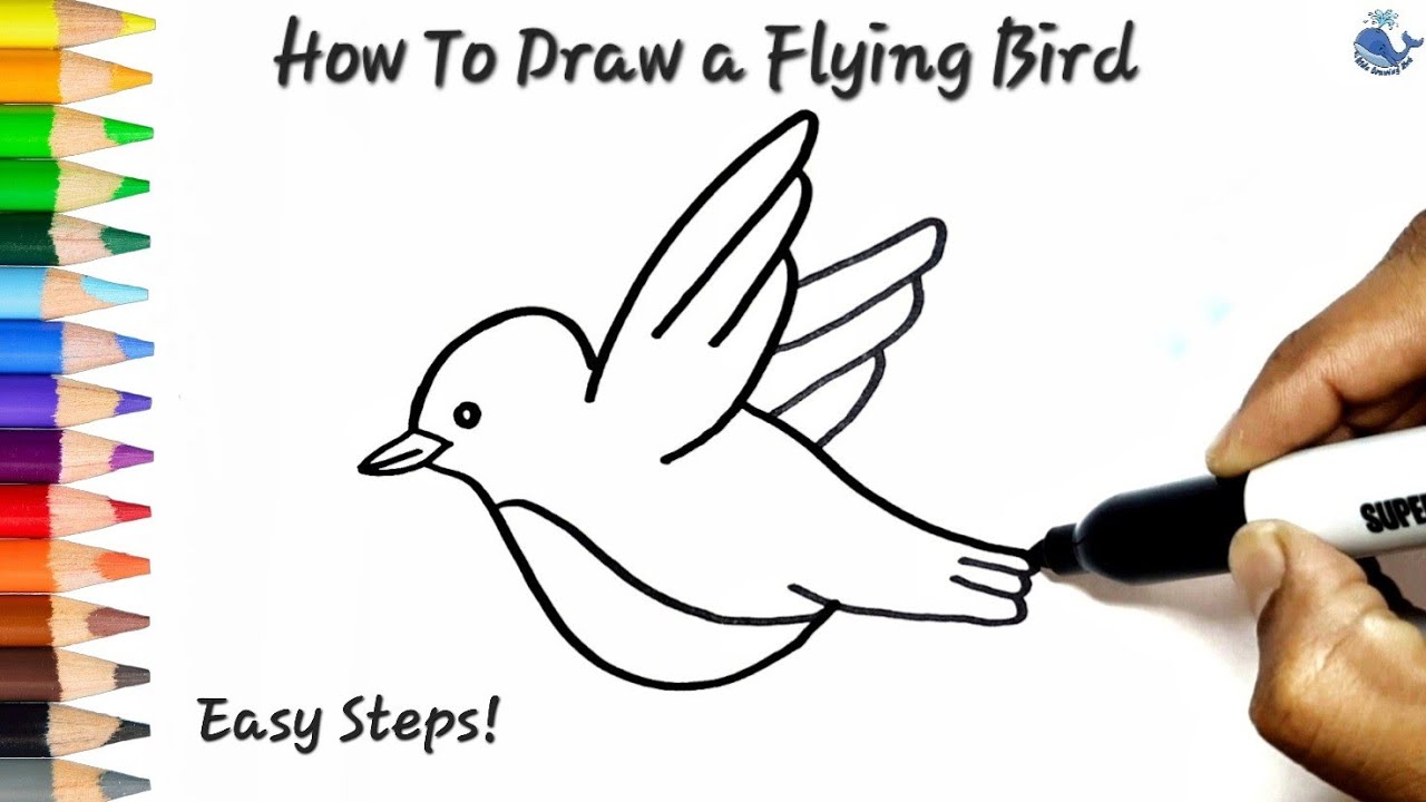 How To Draw a Bird | Kids Drawing Video | Step By Step Drawing Tutorial ...