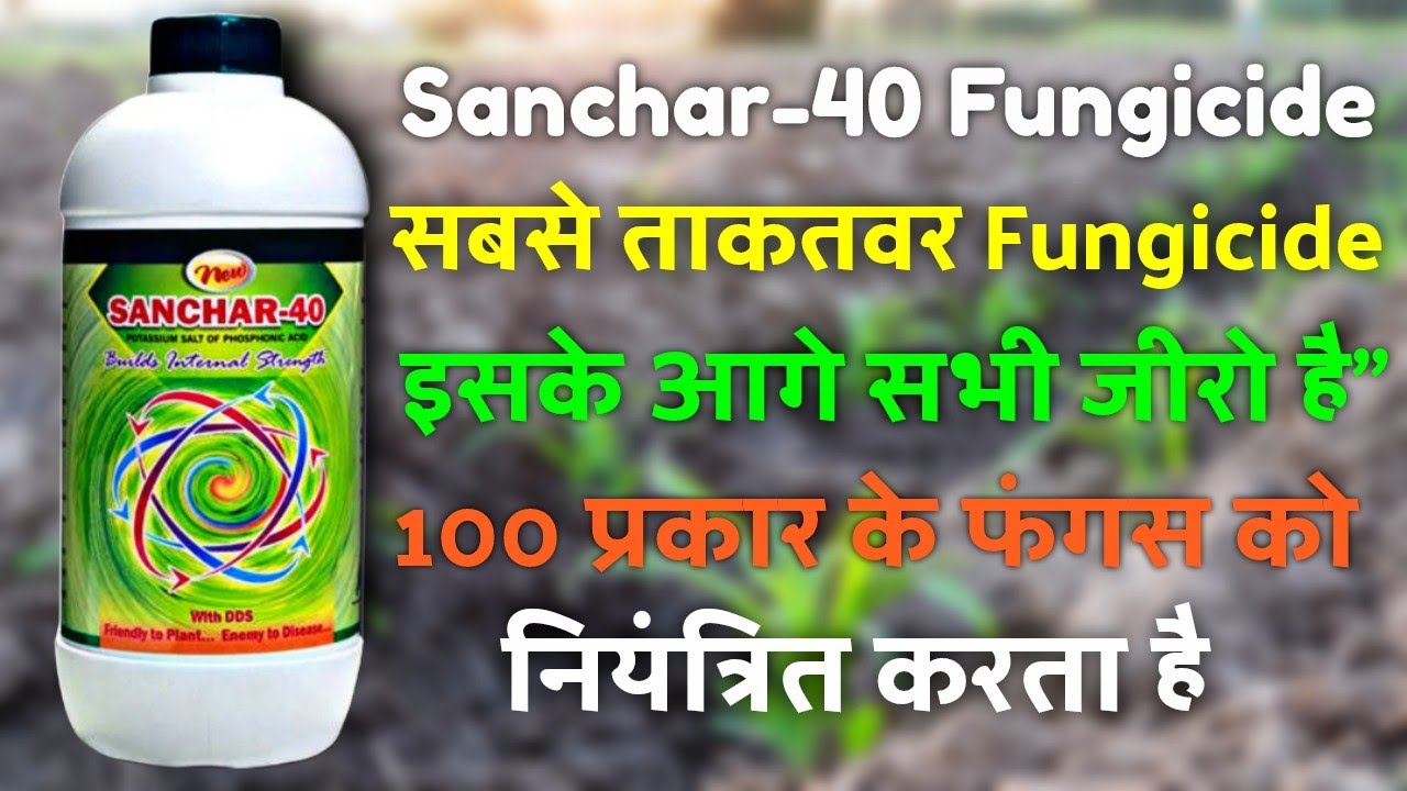 sanchar 40 Fungicide | top fungicide | sanchar fungicide | systematic ...