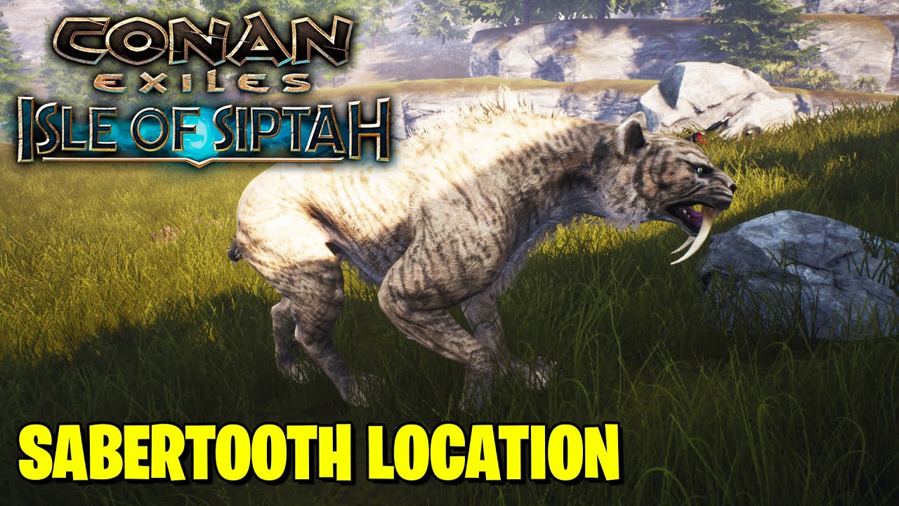 WHERE TO FIND SABERTOOTH IN CONAN EXILES ISLES OF SIPTAH - YouTube
