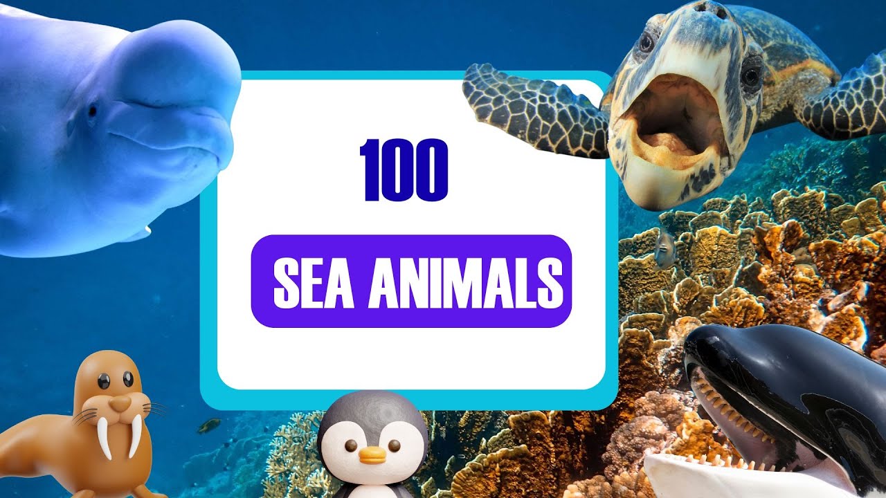 100 SEA ANIMALS Challenge with KIDS - YouTube