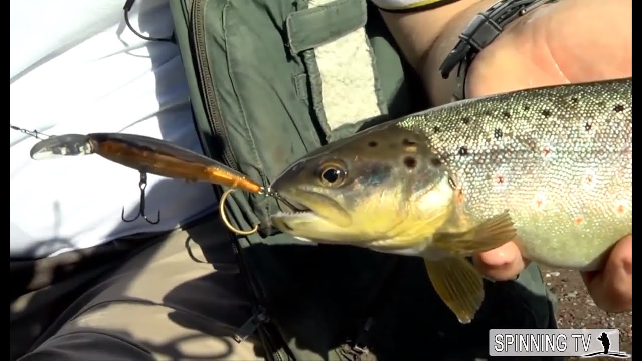 SPINNING TROTA TORRENTE HD | TRUCCHI DI PESCA CON LE CANNE E GLI ...