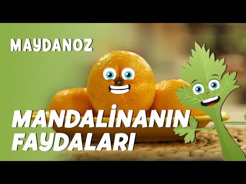 Mandalinanın Faydaları |  Maydonoz Soruyor Mandalina Anlatıyor... - 10.Bölüm