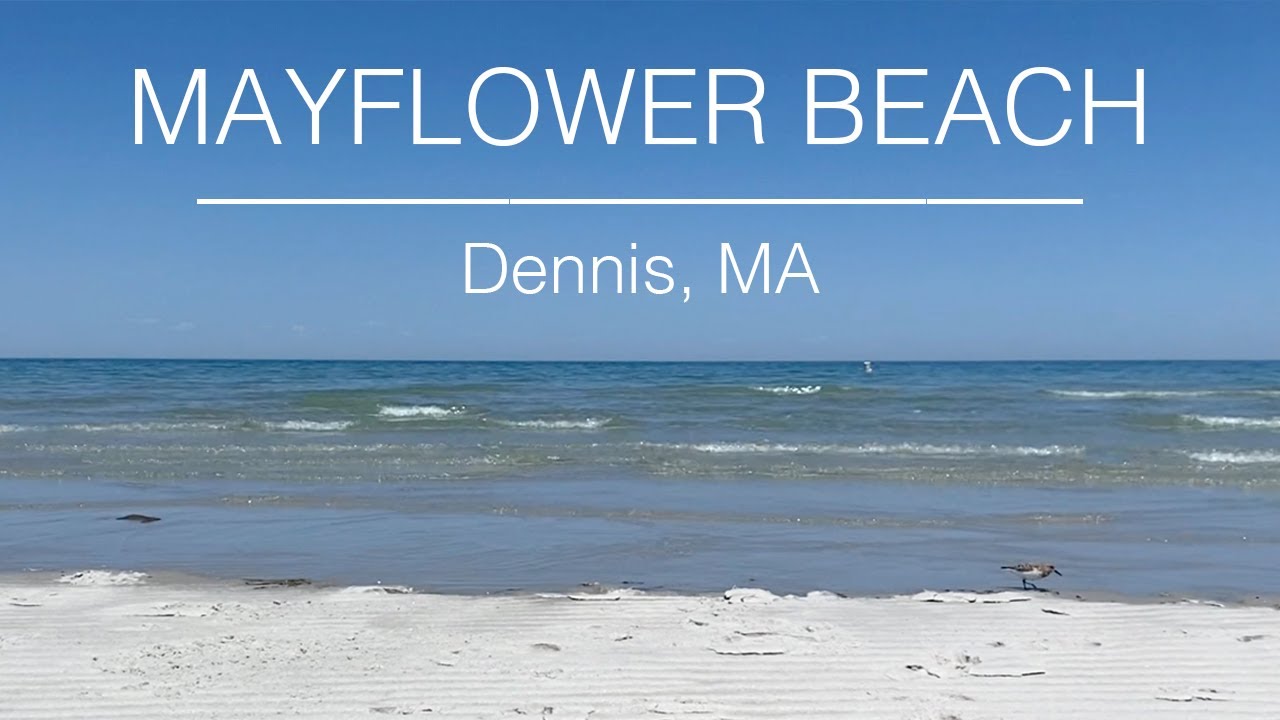 Mayflower Beach Cape Cod Map | Best Flower Site