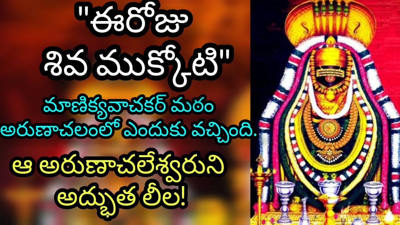 SRI MANIKYA VACHAKAR || chaganti || Arunachalam Tiruvannamalai || - YouTube